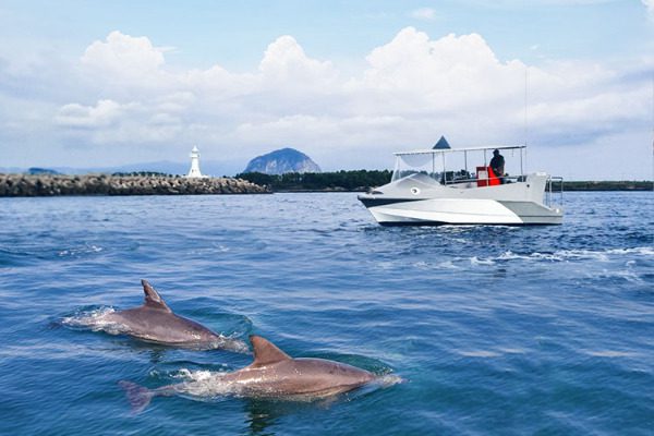 How to Enjoy Jeju Island to the Fullest (8 Unique Ways)