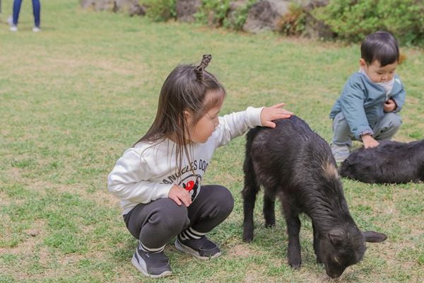 How to Enjoy Jeju Island to the Fullest (8 Unique Ways)