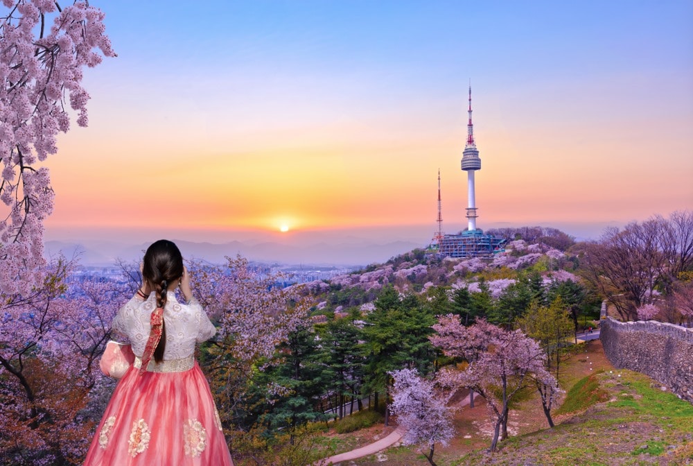 Seoul Well-ness Tour | Korea Tour Package 4 Days